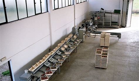 Sorting Grading Sizing Packaging Line For Αpples Processingsorting