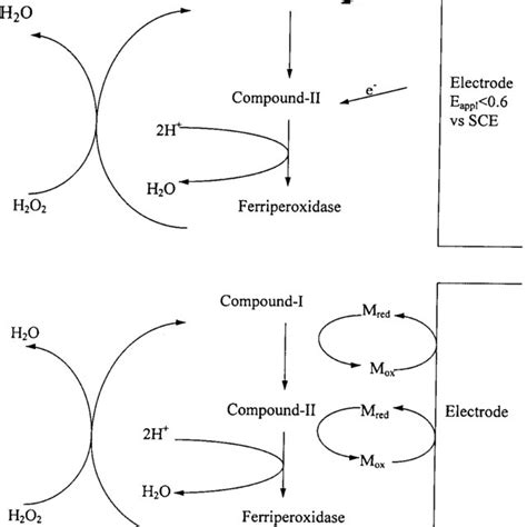 Schemes For Direct Top And Mediated Bottom Electron Transfer