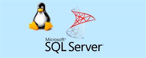 Microsoft Je Objavio Rc Sql Server 2022 Za Linux