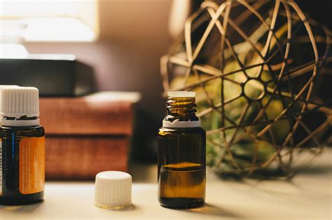 What Are The Causes Of Ammonia Smelling Urine Smelly Urine
