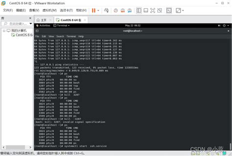 Linux 管理进程与服务liunx进程服务的使用 Csdn博客