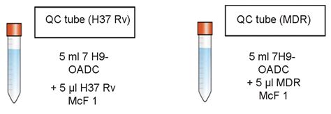 Rapid Identification And Drug Susceptibility Testing Of Mycobacterium Tuberculosis Standard