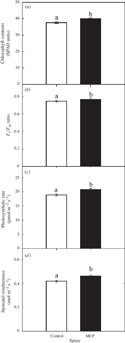 Effect Of MCP C Control No MCP MCP MCP Mg L Download Scientific Diagram