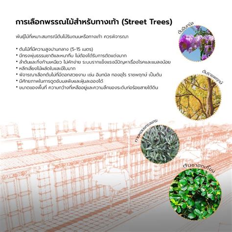 หลักการออกแบบทางเท้า และการจัดระเบียบโครงสร้างพื้นฐานในบริเวณทางเท้า Footpath Infrastructure