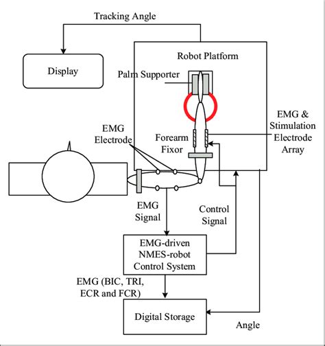 The Experimental Setup For The Electromyography Emg Driven Download Scientific Diagram