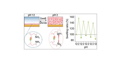 Fabrication Of Fully Positively Charged Layer By Layer Polyelectrolyte