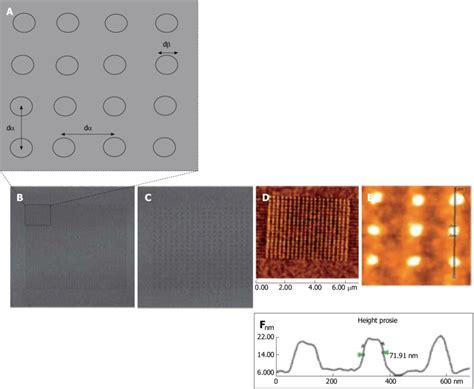 Nanopatterned Gold Surfaces Examination For The Effect Of Both The