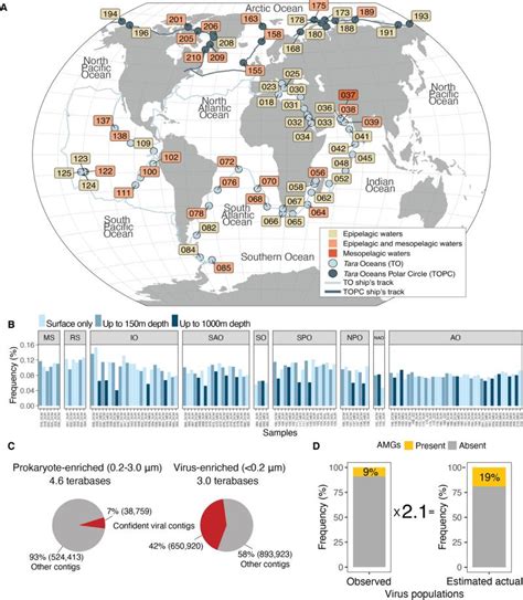 Prokaryotic Virus Encoded Auxiliary Metabolic Genes Throughout The Global Oceans Microbiome