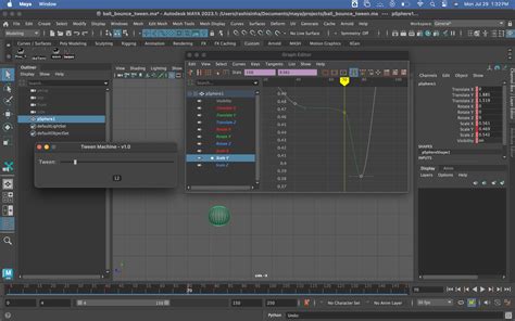 Rashi Sinha Portfolio Tween Machine