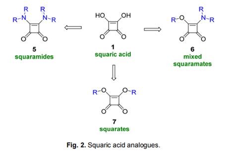 Squaric Acid Analogues In Medicinal Chemistrychemicalbook