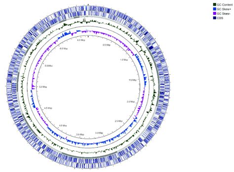 Circos Graph Represents Contigs In The Genome Of Achromobacter Sp