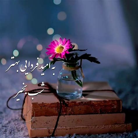 💖💫نیایش شبانه با حضرت عشق ️ ️ فیلم ویسگون