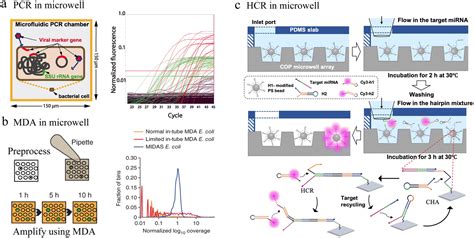 Microwell Array Chip Based Single Cell Analysis Lab On A Chip Rsc
