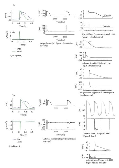Comparison Of The Time Course Of Generic Model Currents With Download Scientific Diagram