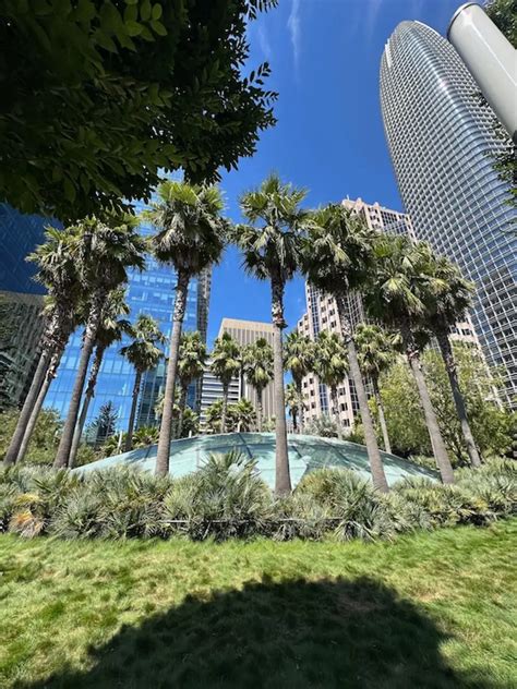 Best Parks In San Francisco Views Trails And Hidden Gems