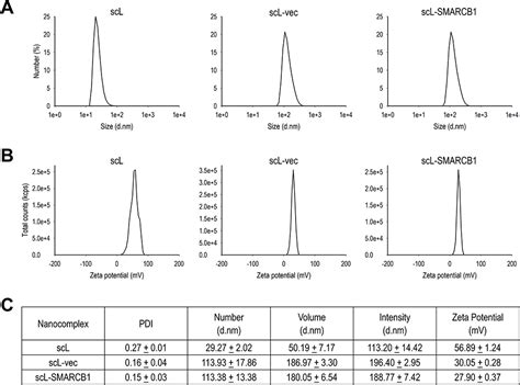 Smarcb1 Gene Therapy With Novel Tumor Targeted Nanomedicine Ijn