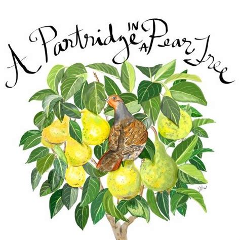 A Partridge In A Pear Tree Copy 12 Days Of Christmas 12 Days Of Xmas