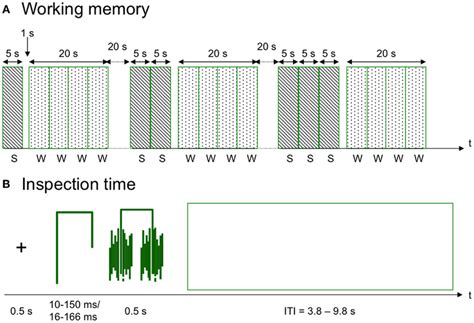 schematic diagrams of the tasks a the working memory task consisted