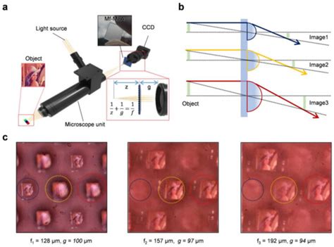 High Identical Numerical Aperture Multifocal Microlens Array Through Single Step Multi Sized