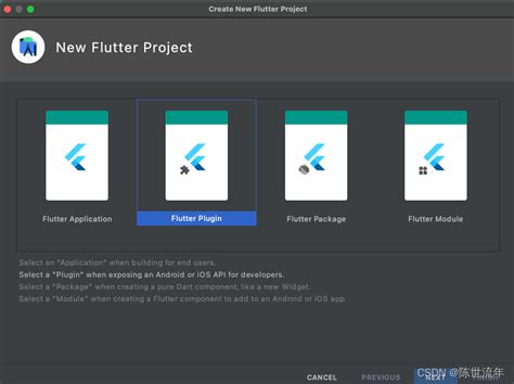 Flutter 自定义插件基础flutter插件 Csdn博客