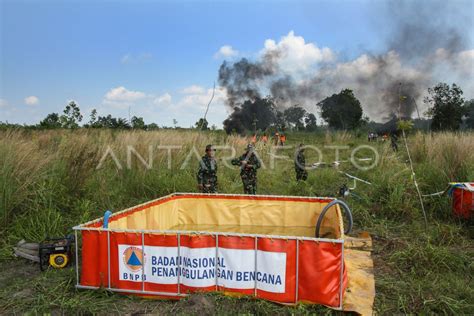 Forest Fire Fighting Simulation Antara Foto