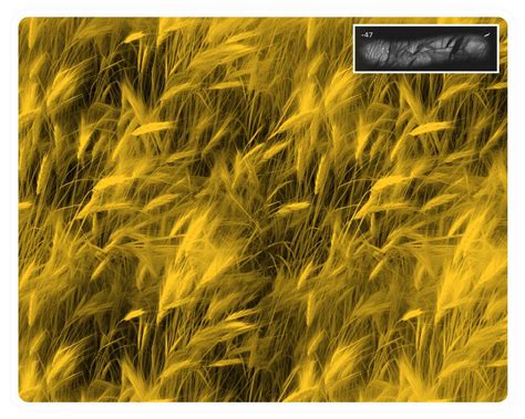 100 Procreate Grass Texture Brushes Seamless Grass Texture For 100 Procreate Grass Texture Brushes Seamless Grass Texture For