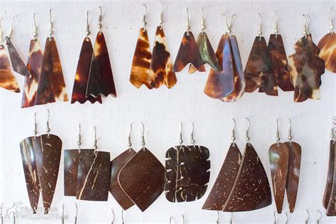 How To Identify And Avoid Sea Turtle Shell Souvenirs Travel For Wildlife