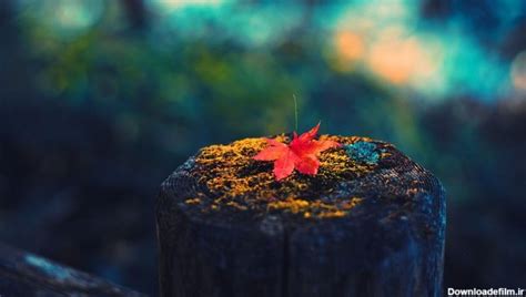 دانلود عکس رونالدو برای تصویر زمینه کامپیوتر