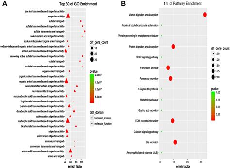 Analysis Of Differentially Expressed Slc Genes Functional Enrichment