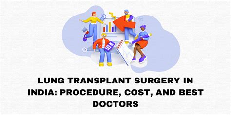 What Is The Procedure Of Liver Transplant And Cost In India Medserg