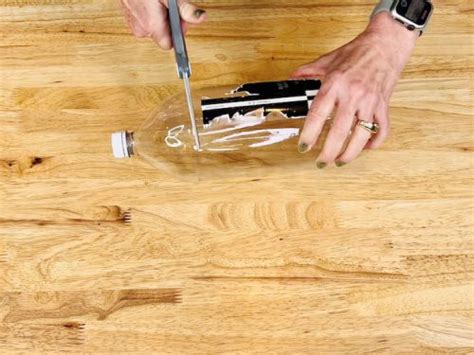 DIY Pest Control Effective Chemical Free Solutions Chas Crazy Creations