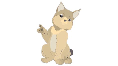 Alle Kurse Pro Digbi