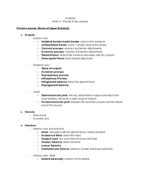 Anatomy Week Pre Lab Lab Lectures Anatomy Week Pre Lab Lab Lectures Pre Lab Studocu