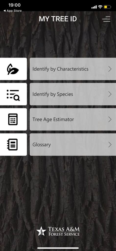 8 Free Tree Identification Apps For Android IOS Freeappsforme Free Apps For Android And IOS