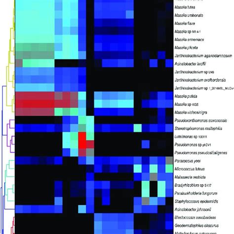 Heat Map And Hierarchical Clustering Of The Top 40 Taxa Mapped By