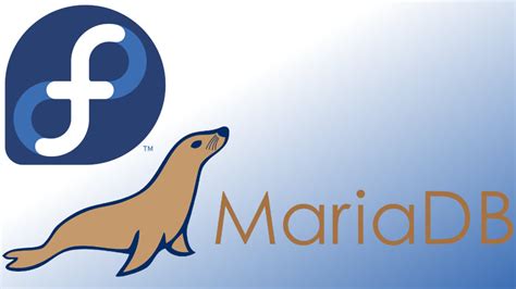 Cómo Instalar Mariadb En Fedora 36 Comoinstalarme
