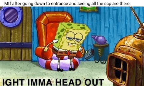 Posting Scp Secret Lab Memes Until Theres A Optimisation Update Day 44 R Scpsecretlab