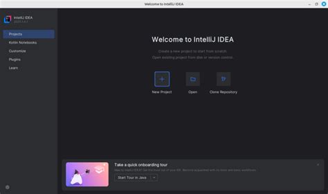 How To Install Intellij Idea On Linux Mint 22 Cloudspinx