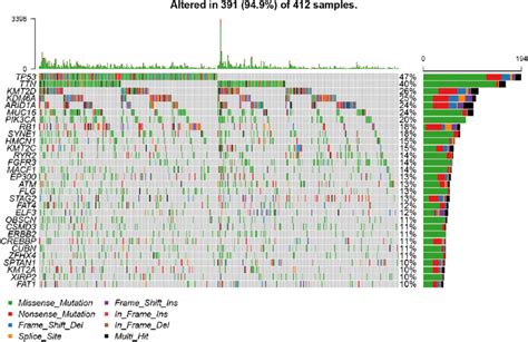 Landscape Of Mutation Profiles In Bladder Cancer Blca Samples A