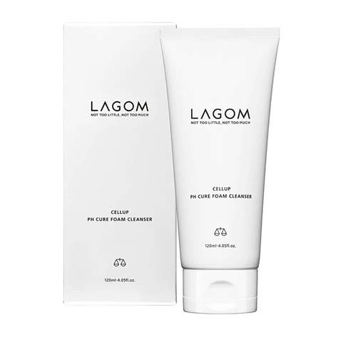 Lagom Labom Labom Ph Balancing Form Cleanser 120ml Makeup Cleanser Nippon Ebay In 2025