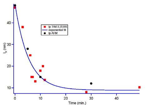 Persistence Length Decrease As A Function Of Time For The Optical Download Scientific Diagram