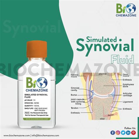 Simulated Synovial Fluid Fluid Tissue Engineering Synovial Fluid