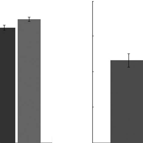 Observers Accuracy And Jnd In Experiment 2 As A Function Of Soa And