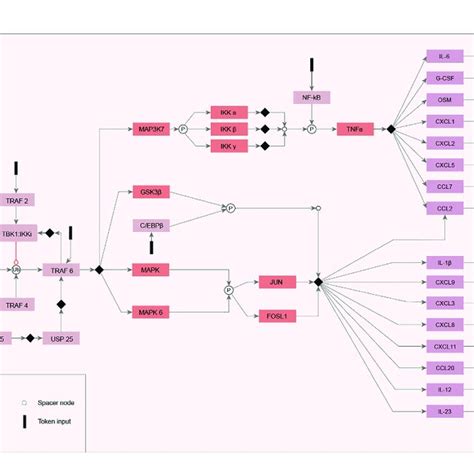 Diagram Of The Constructed Network The Network Diagram Was Download Scientific Diagram