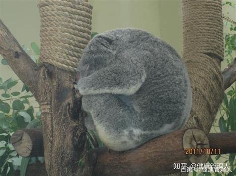 多种疾病信号 知乎