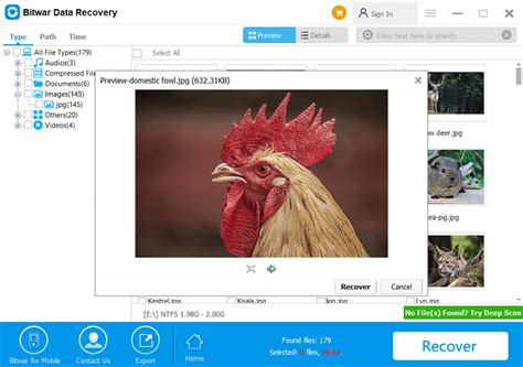 Solved The Request Failed Due To A Fatal Device Hardware Error Bitwarsoft