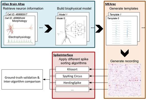 neurosim extracellular electrophysiological simulation and ground