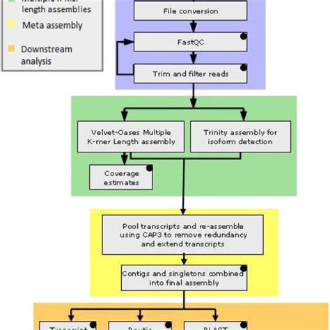 flowchart of the bioinformatic pipeline the pipeline performs multiple