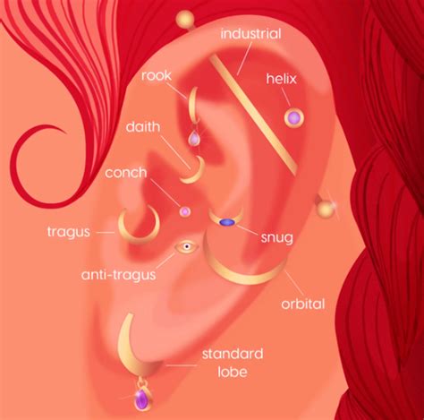 Awesome Guide To The 9 Different Types Of Ear Piercings BODY PIERCING AND BODY JEWELRY