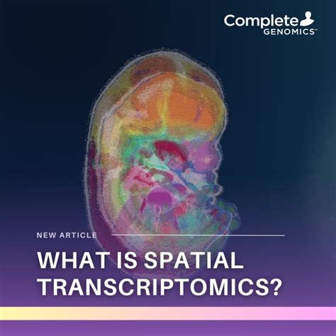 Complete Genomics On Linkedin What Is Spatial Transcriptomics The Must Know Facts